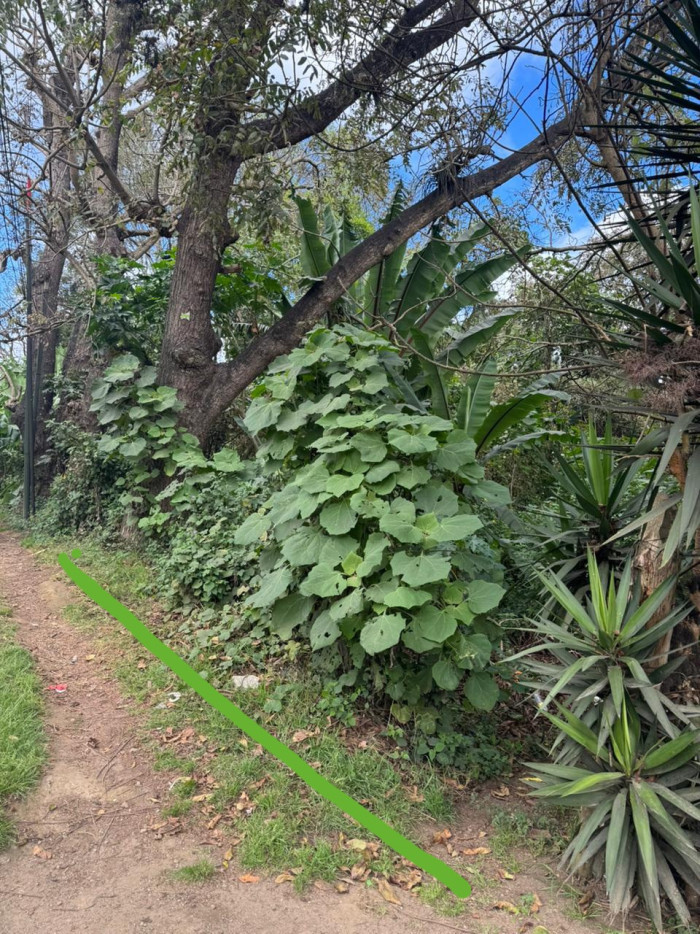 Terreno en Venta en Carretera San Lucas hacia Antigua