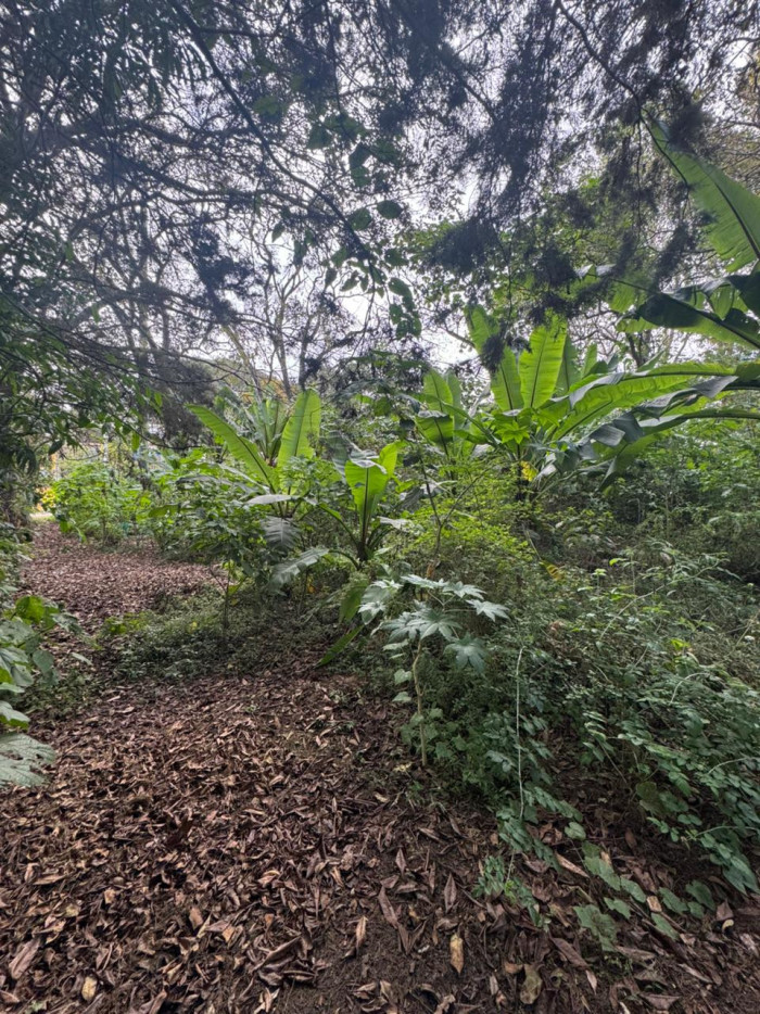 Terreno en Venta en Carretera San Lucas hacia Antigua