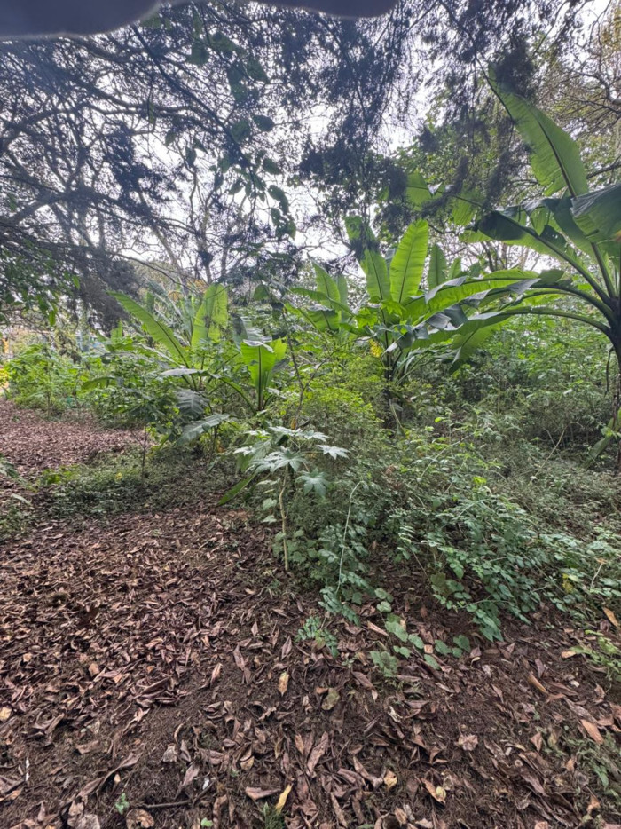 Terreno en Venta en Carretera San Lucas hacia Antigua